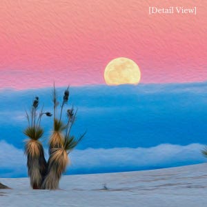 Desert Moon Landscape Frame TV Art, Sunset Cactus (digital Download) - Etsy