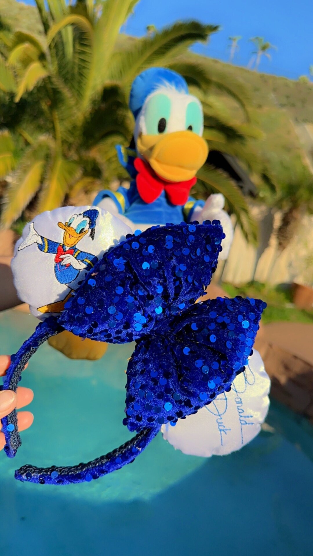 Donald Duck Signature Embroidery Design Mouse Ears - Etsy