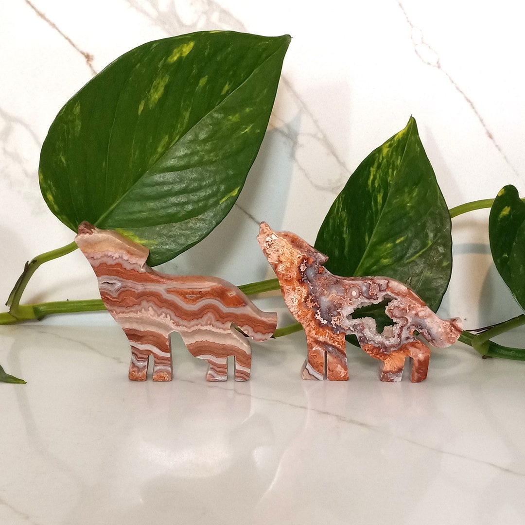 Crystal Wolf Carving Pink Crazy Lace Agate Crystal Carved Wolf Druzy ...