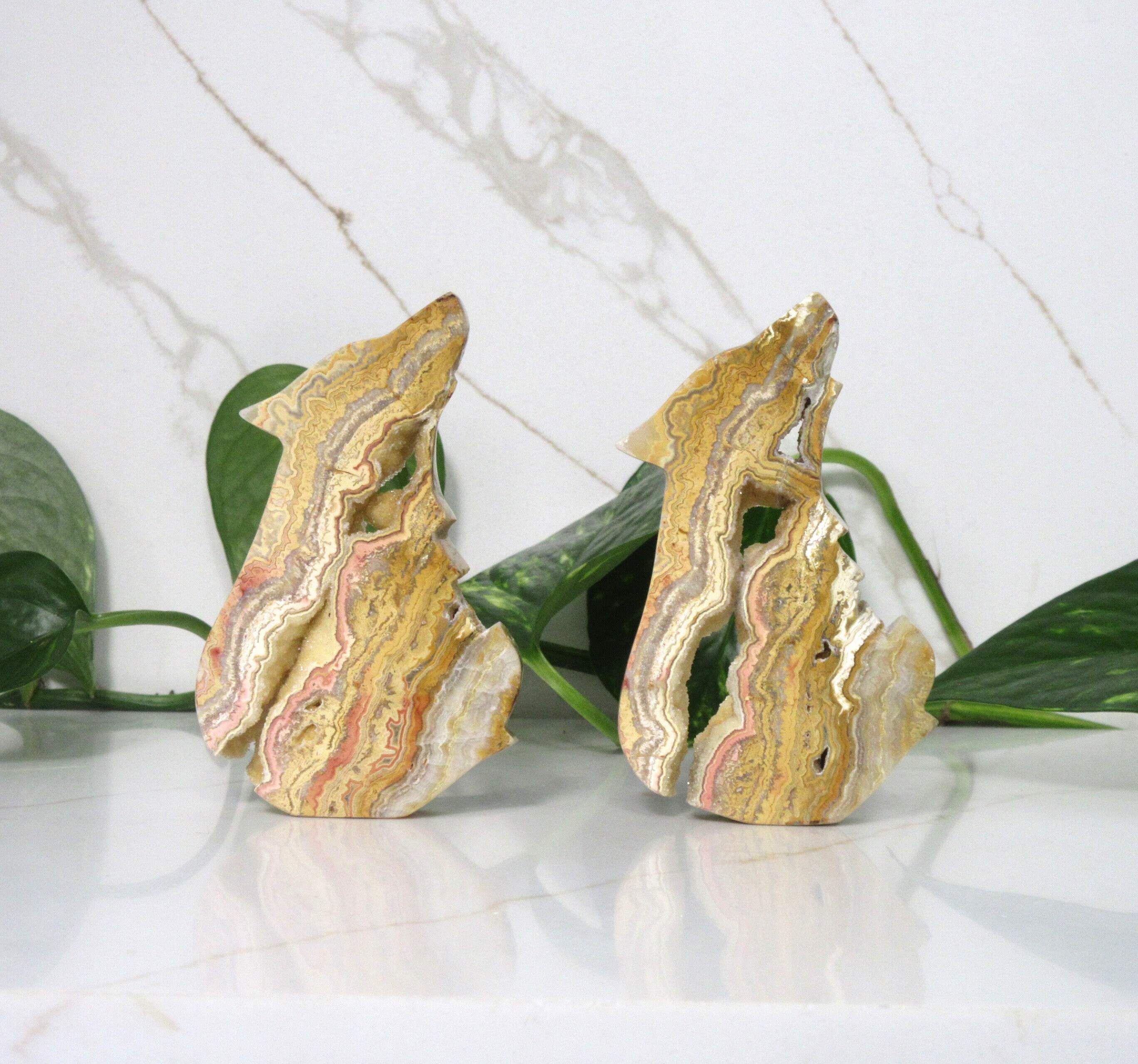 Crystal Wolf Carving Gold Crazy Lace Agate Crystal Carved Wolves Druzy ...