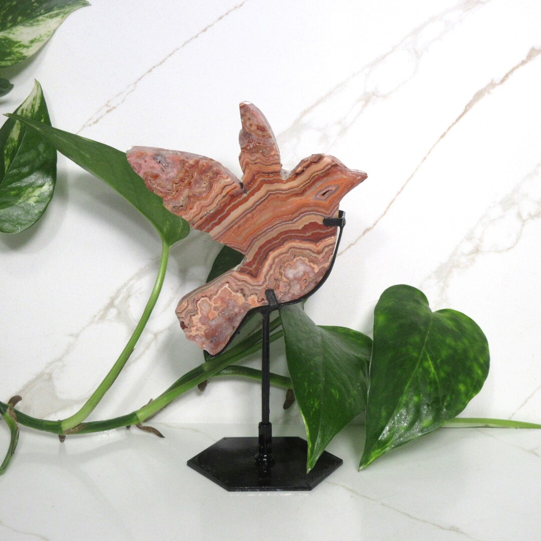 Crystal Bird Carving on Stand Pink Crazy Lace Agate Bird Figurine ...
