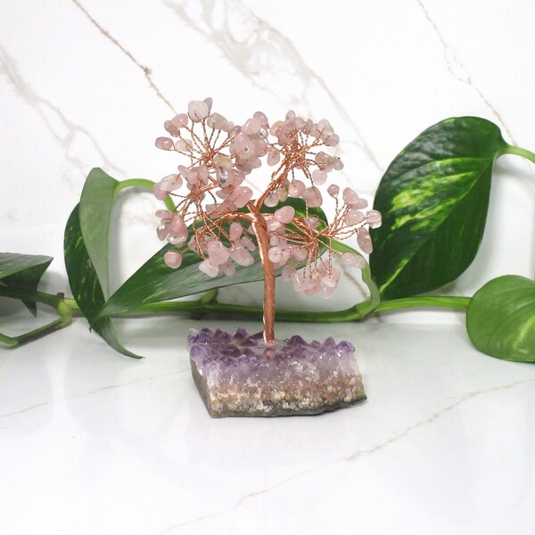 Amethyst Money Tree - Etsy