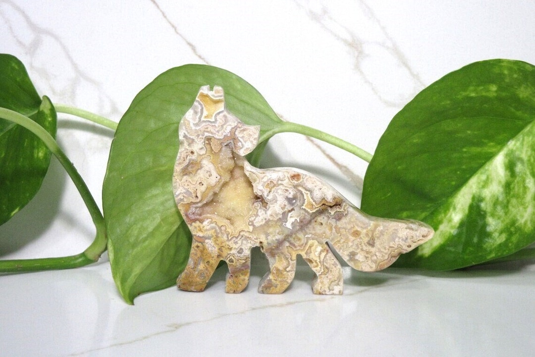 Crystal Fox Carving Druzy Crazy Lace Agate Crystal Carved Fox Gemstone ...