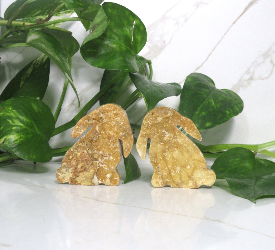 Lop Eared Rabbit Crystal Carving Gold Crazy Lace Agate Bunny Sculpture ...