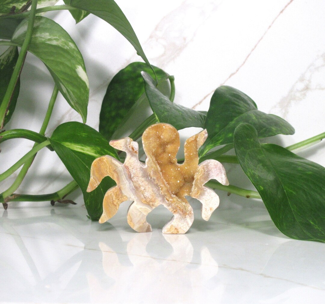 Crystal Octopus Carving Gold Crazy Lace Agate Octopus Sculpture Carved ...