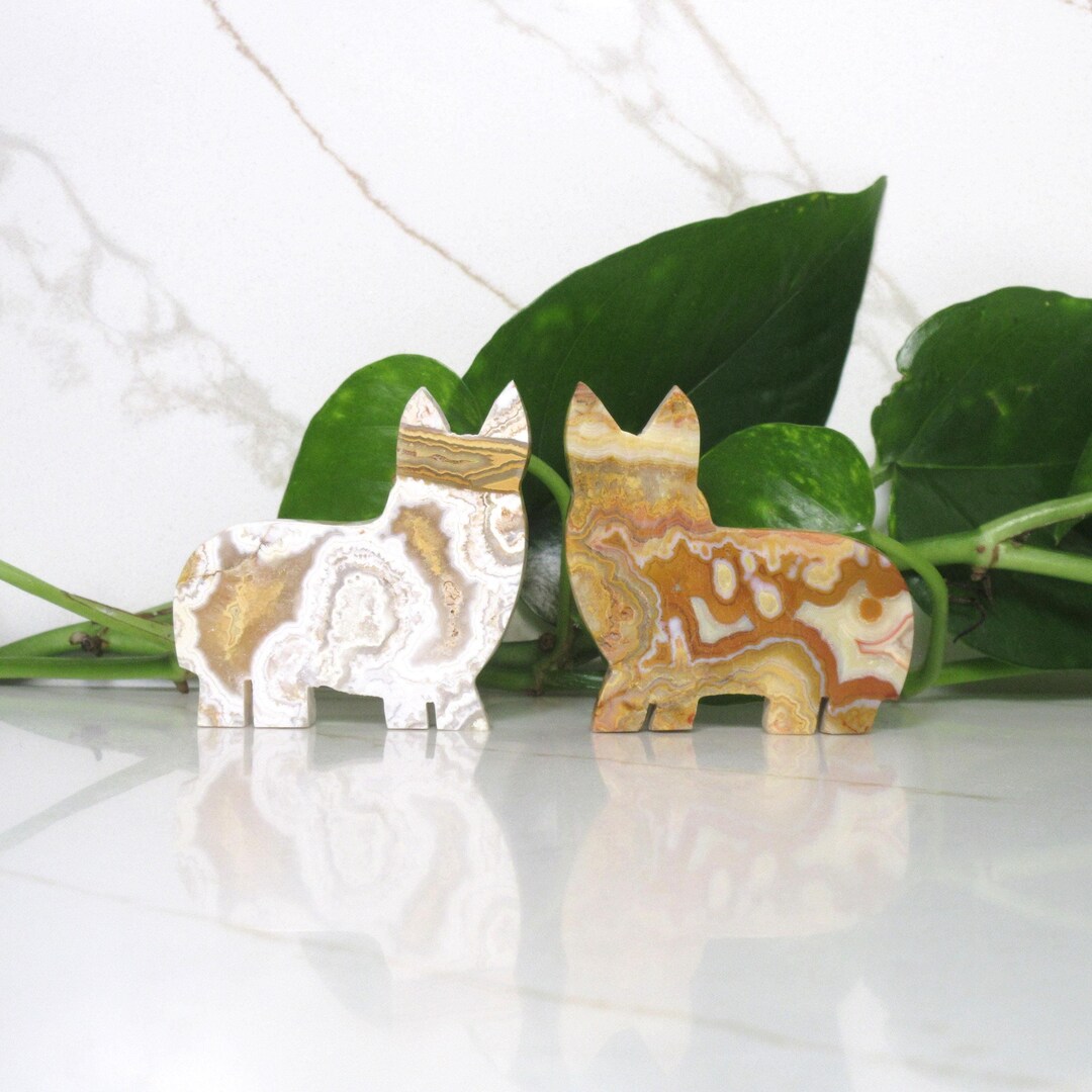 Crystal Dog Carving, Crazy Lace Agate Corgi Figurine, Blue Amethyst ...