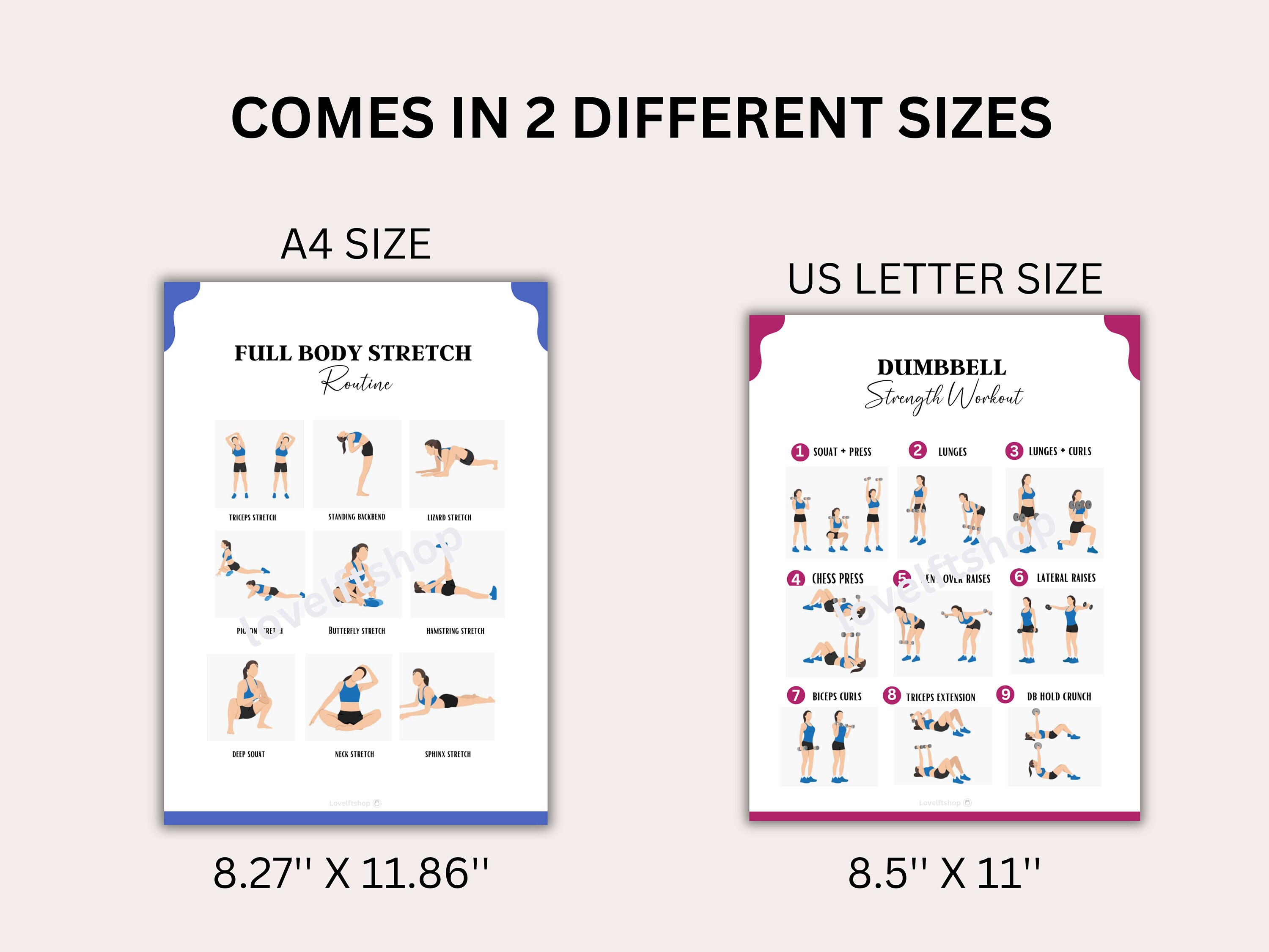 Full Body Exercise Workout Bundle, Full Body Workout, Fitness Guide ...