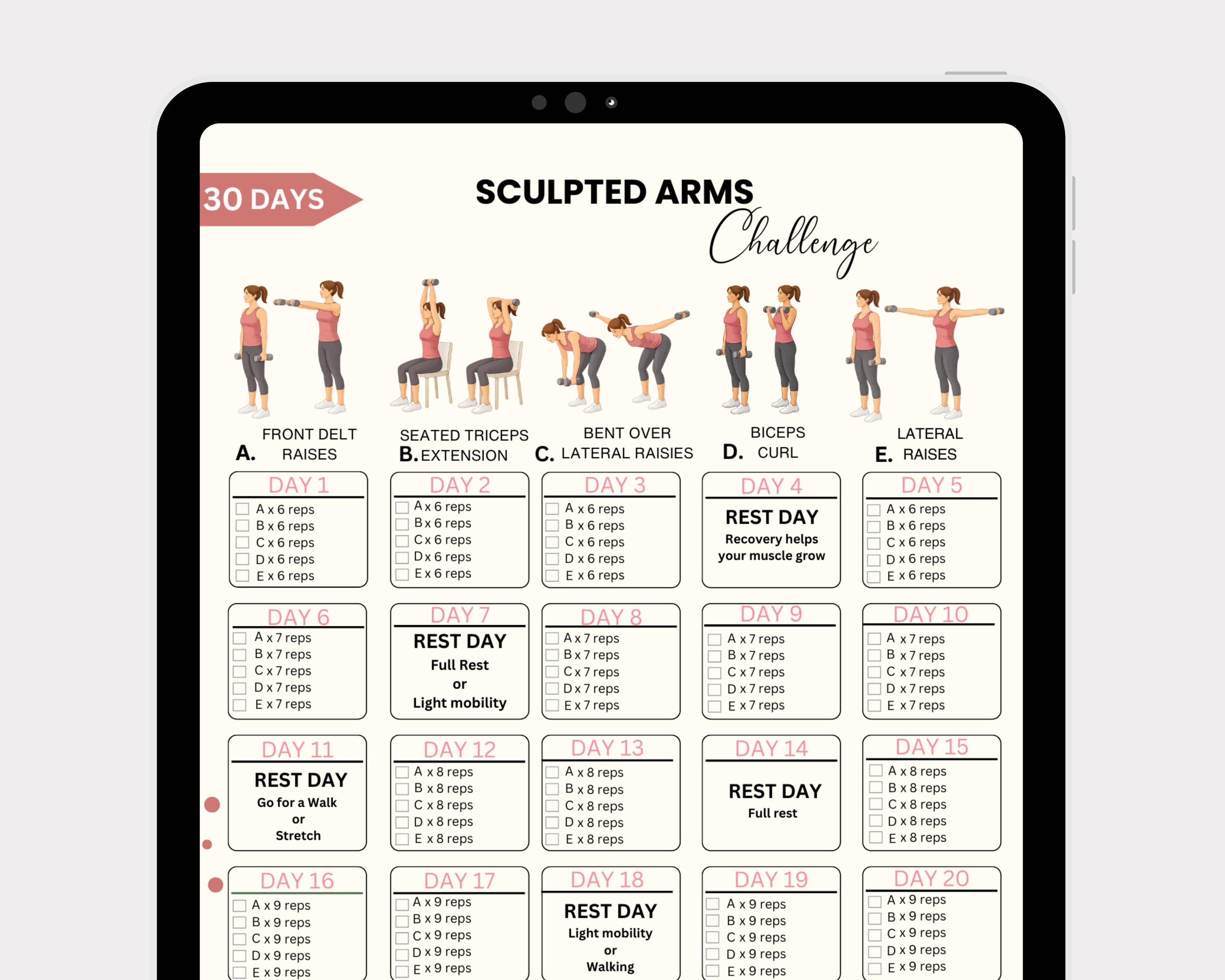 30 Day Sculpted Arms Challenge, Toned Arms Workout Plan, at Home Arm ...