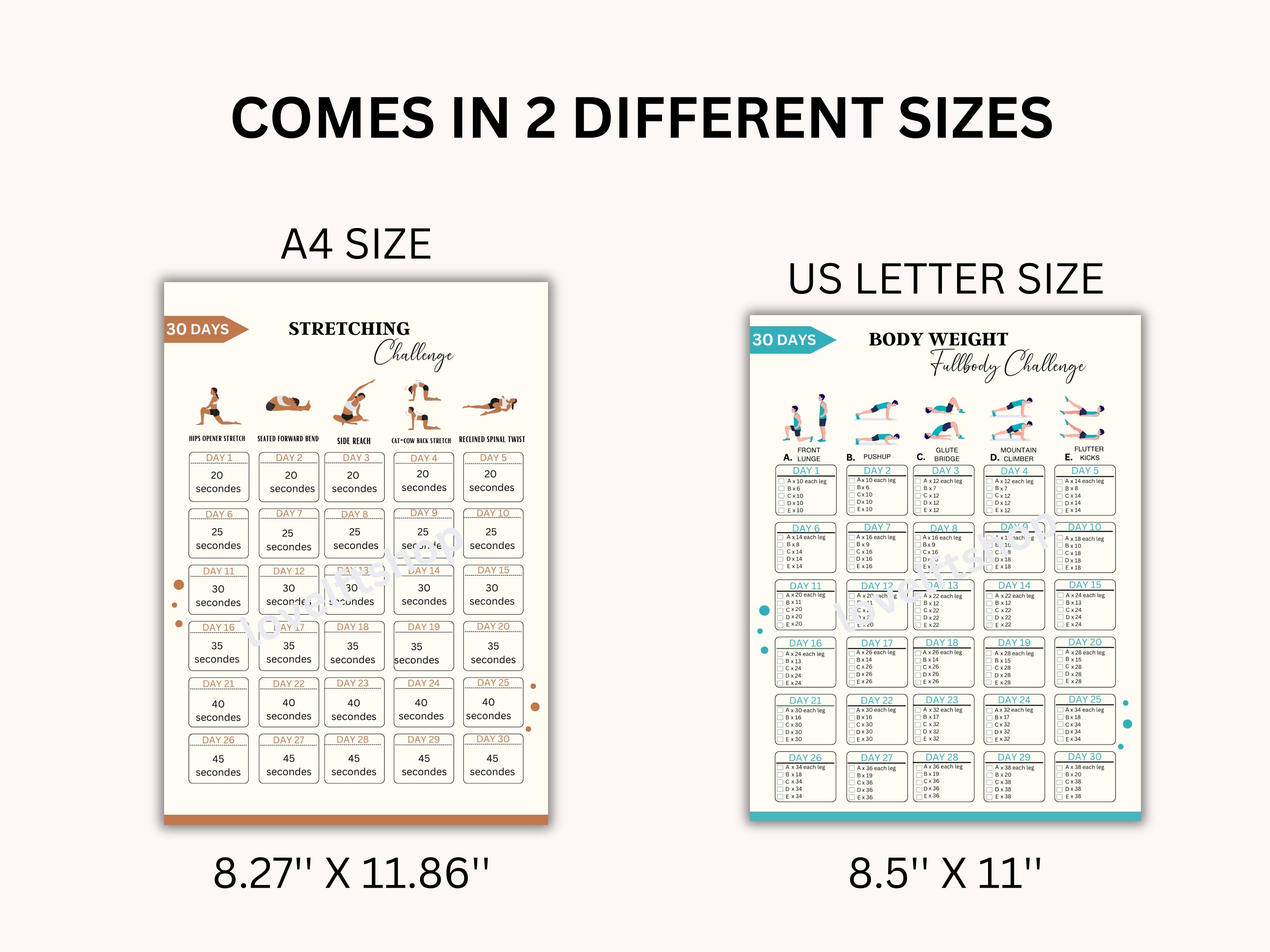 Full Body Exercise Workout Bundle, Full Body Workout, Fitness Guide ...