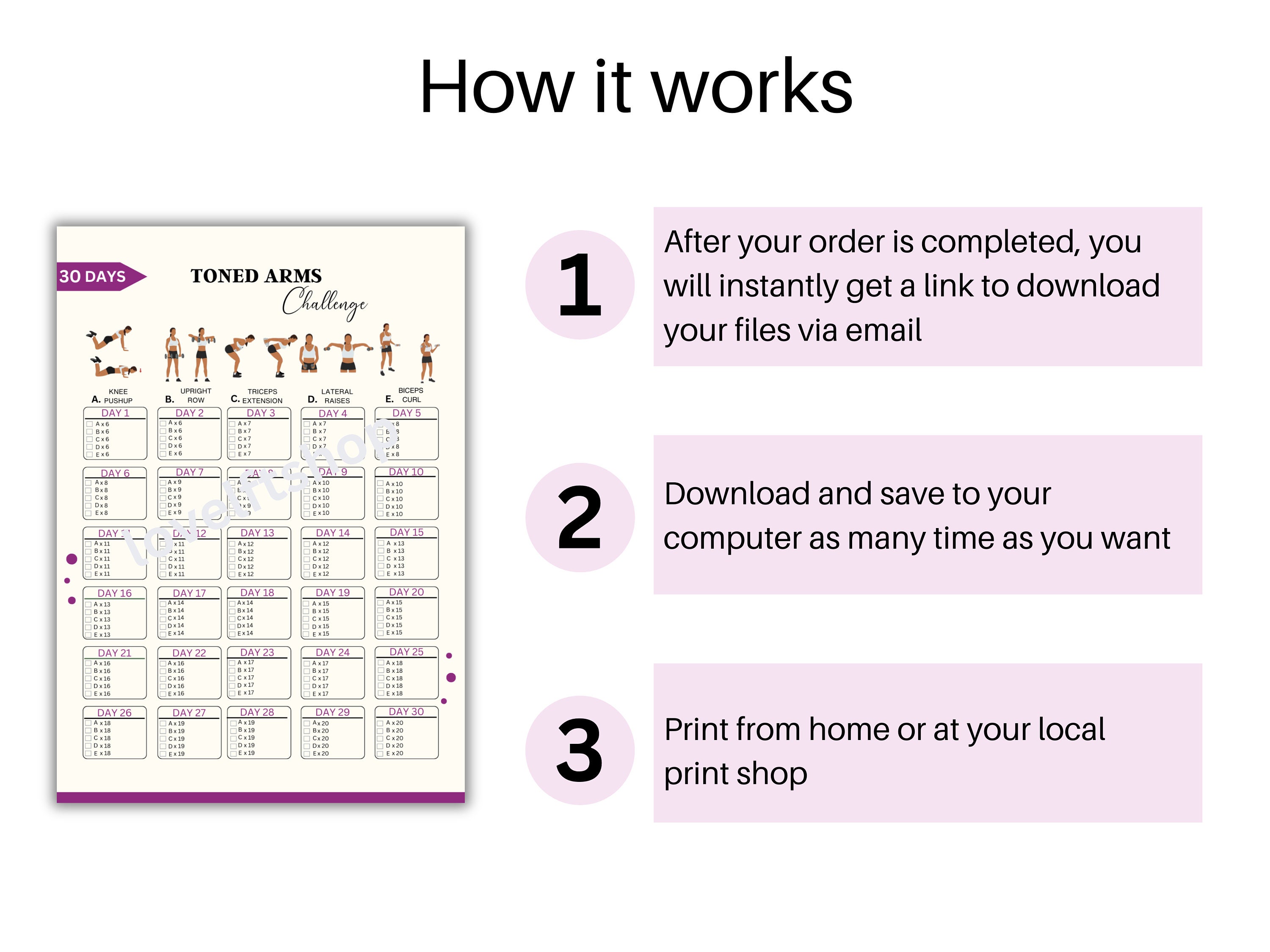 Full Body Exercise Workout Bundle, Full Body Workout, Fitness Guide ...
