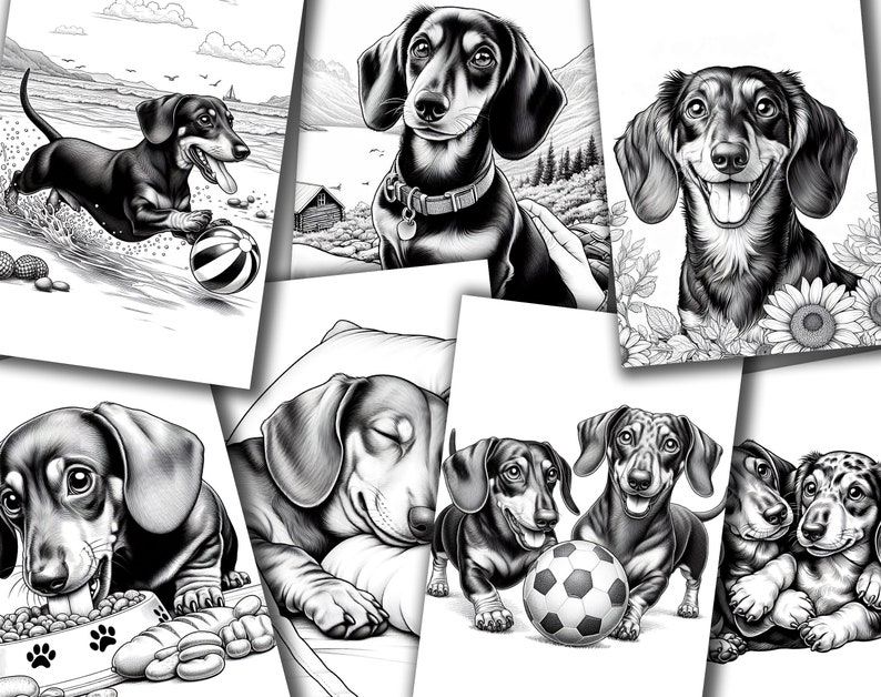 Dachshund Dog Digital Coloring Set 21 Pages | Coloring Book Pages ...