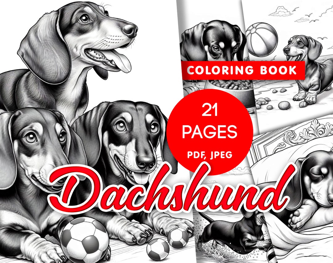 Dachshund Dog Digital Coloring Set 21 Pages | Coloring Book Pages ...