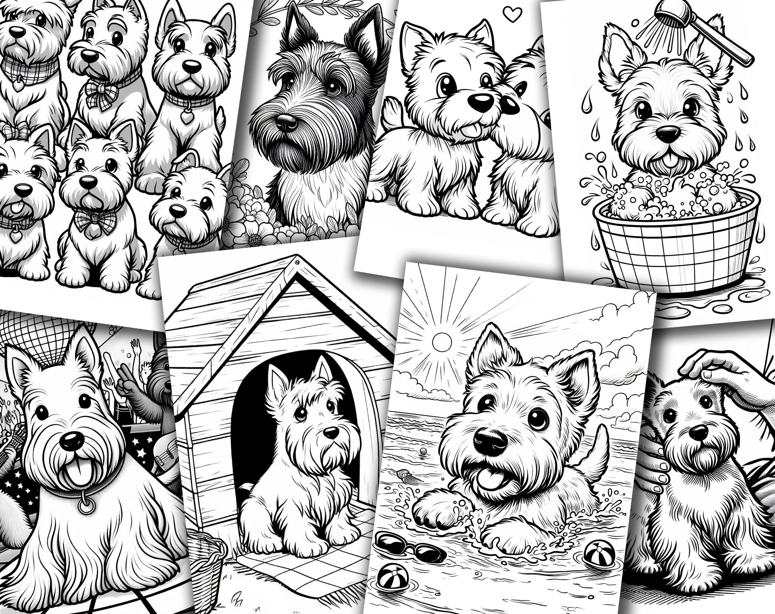 Scottish Terrier Digital Coloring Set 20 Pages | Coloring Book Pages ...