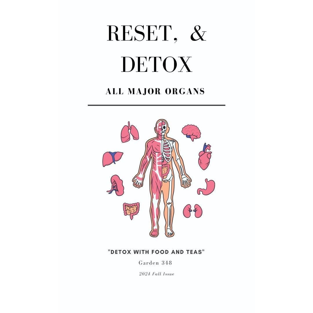 Reset and Detox Your Main Organs - Etsy