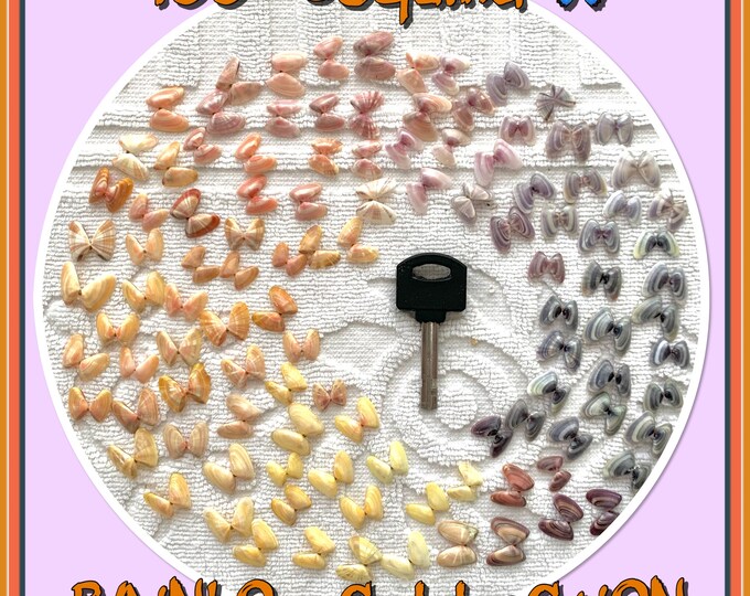 20 Tiny Coquina Shells Florida Gulf Handpicked Craft Shells - Etsy