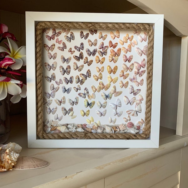 Framed Shell Art - Etsy