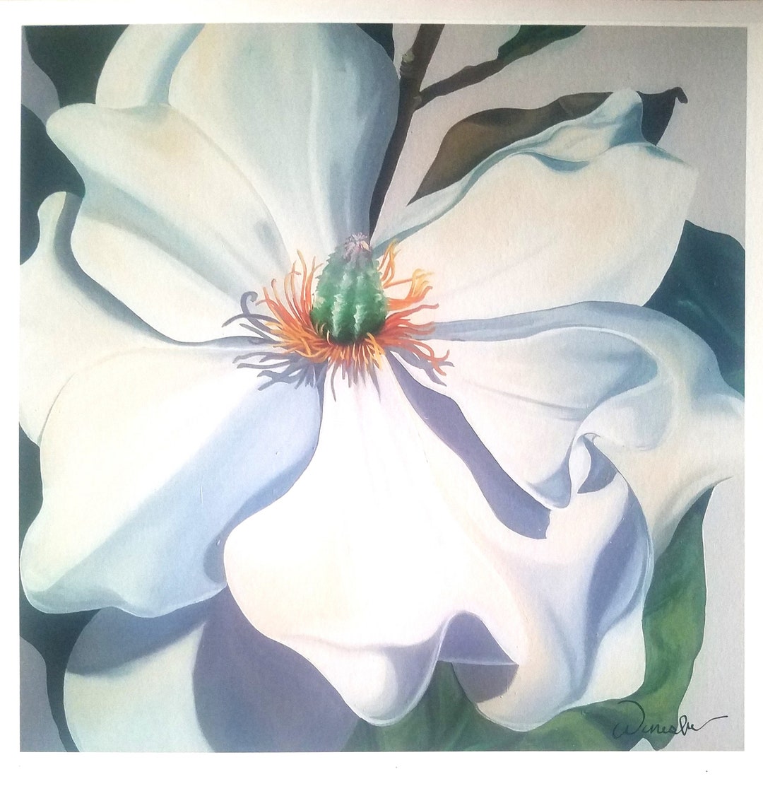 Magnolia- Print of Original Oil Painting- 12" X 12" Dimensions- Wall ...