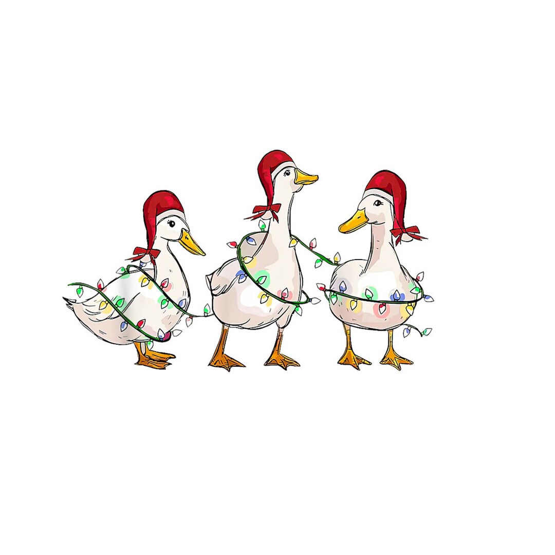 Duck Santa Hat Christmas Lights Silly Goose Xmas Women Png Digital - Etsy