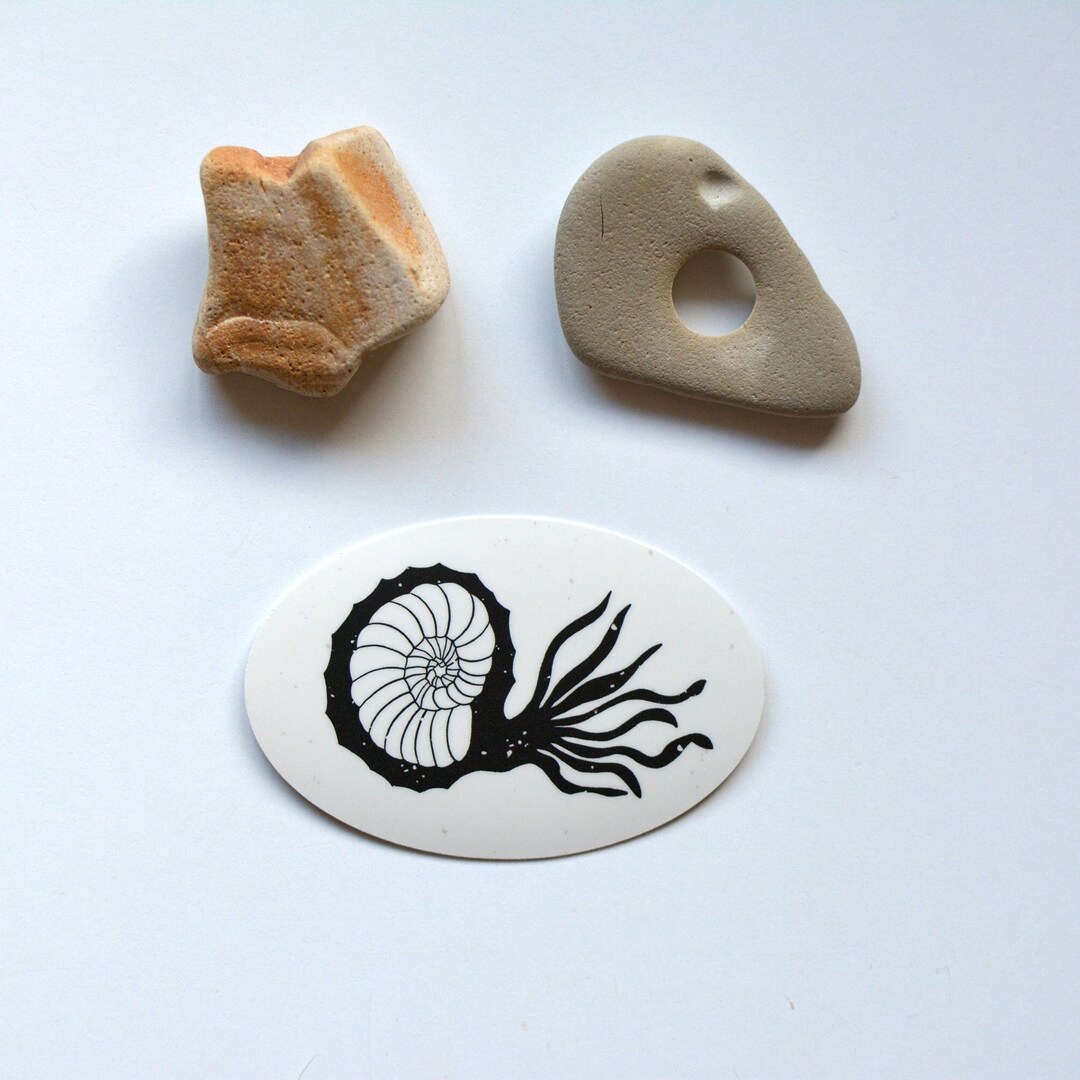 Ammonite Sticker Fossil Silhouette - Etsy