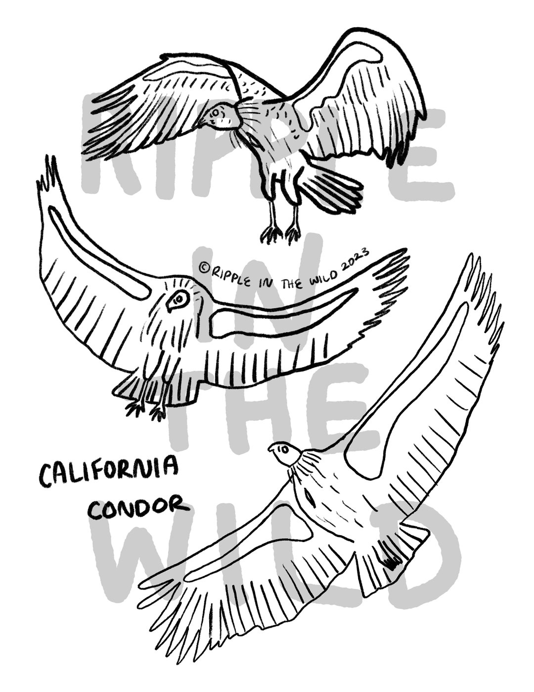 PRINTABLE - Coloring Page Condors - Hand Drawn Nature Coloring Page for ...