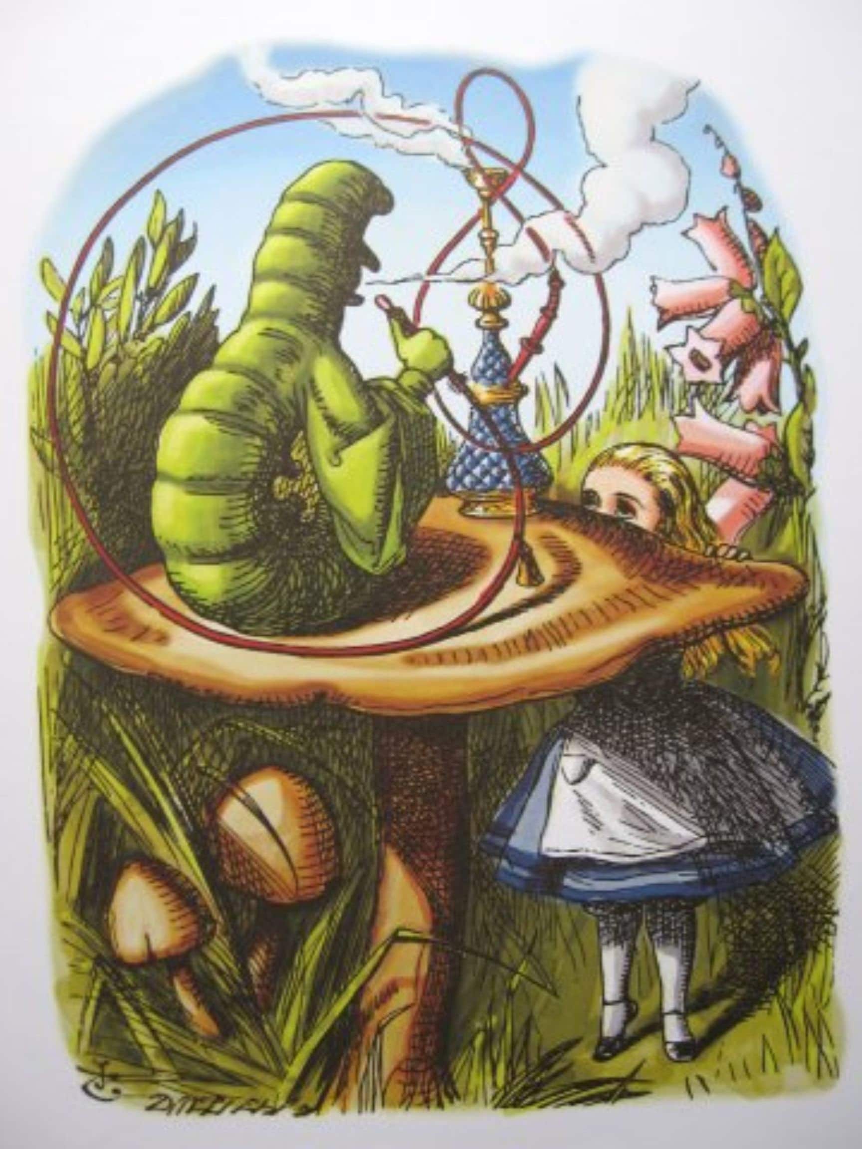 Alice Meets the Caterpillar | Vintage Children's Book Illustrations ...