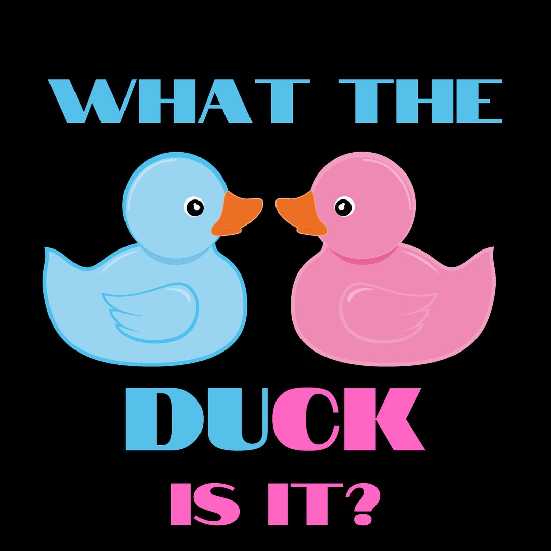 Duck Gender Reveal - Etsy