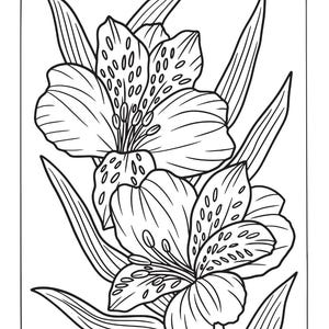 Printable Floral Fantasy Coloring Pages - 10 Beautiful Blooms for ...