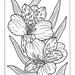 Printable Floral Fantasy Coloring Pages - 10 Beautiful Blooms for ...
