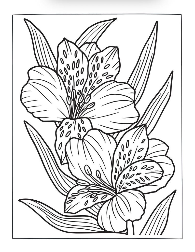 Printable Floral Fantasy Coloring Pages - 10 Beautiful Blooms for ...