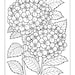 Printable Floral Fantasy Coloring Pages - 10 Beautiful Blooms for ...