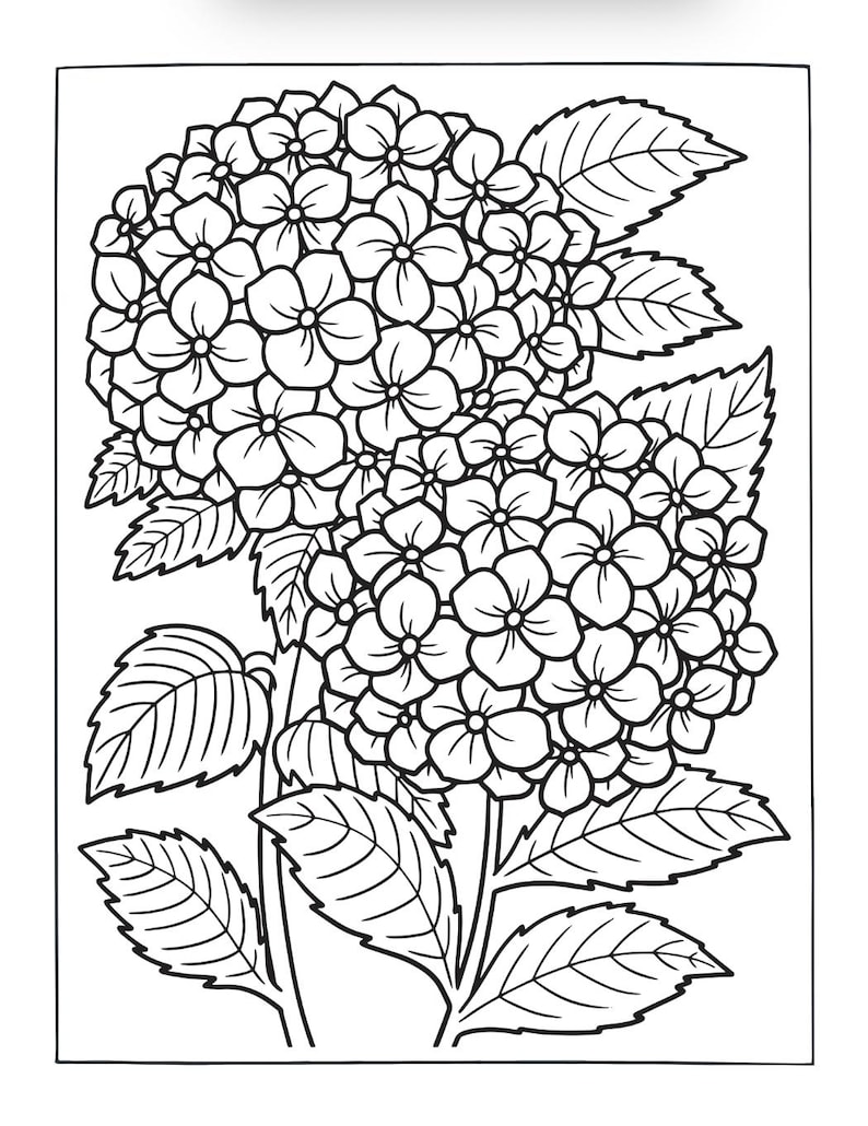 Printable Floral Fantasy Coloring Pages - 10 Beautiful Blooms for ...