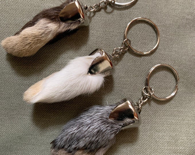 Lucky Rabbits Foot real - Etsy