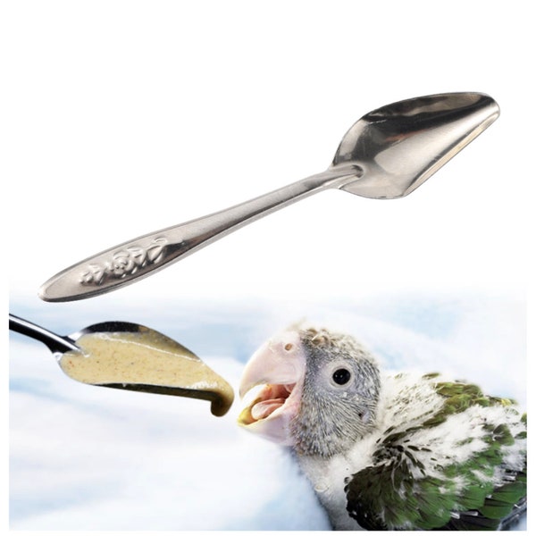 Parrot Spoon - Etsy