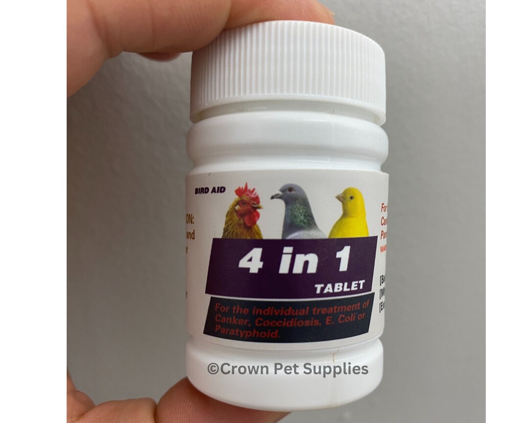 4 in 1 Tablets for Paratyphoid Salmonella Cocci & Canker in - Etsy