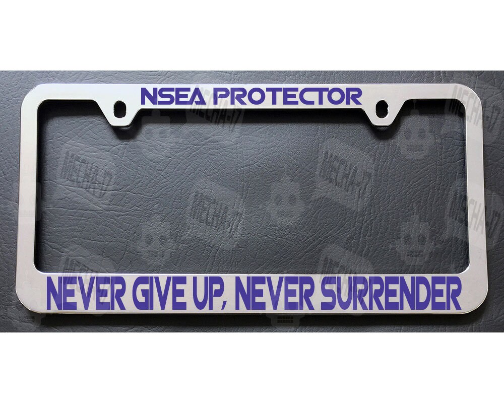 Nasa License Plate Frame