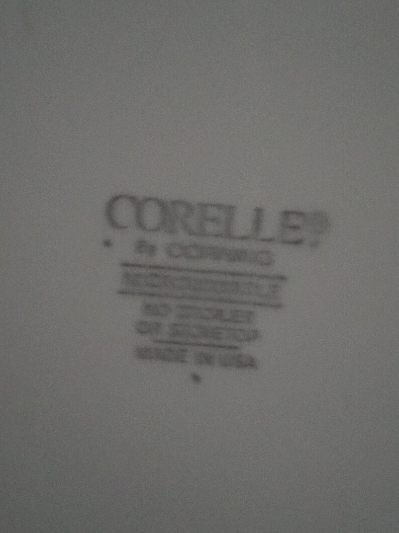 Vintage CORELLE Abundance Fruit Sandstone Maroon Blue Rim Desert Plate ...