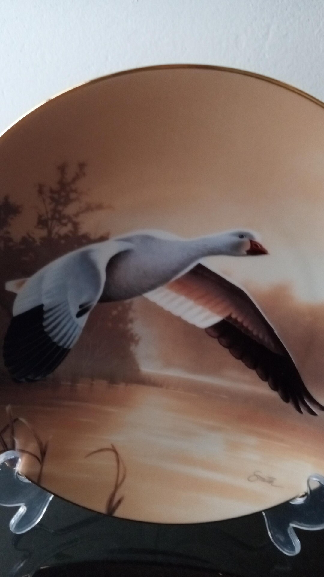 Vintage "snow Goose" Federal DUCK STAMP Plate Collection No 7618 A - Etsy