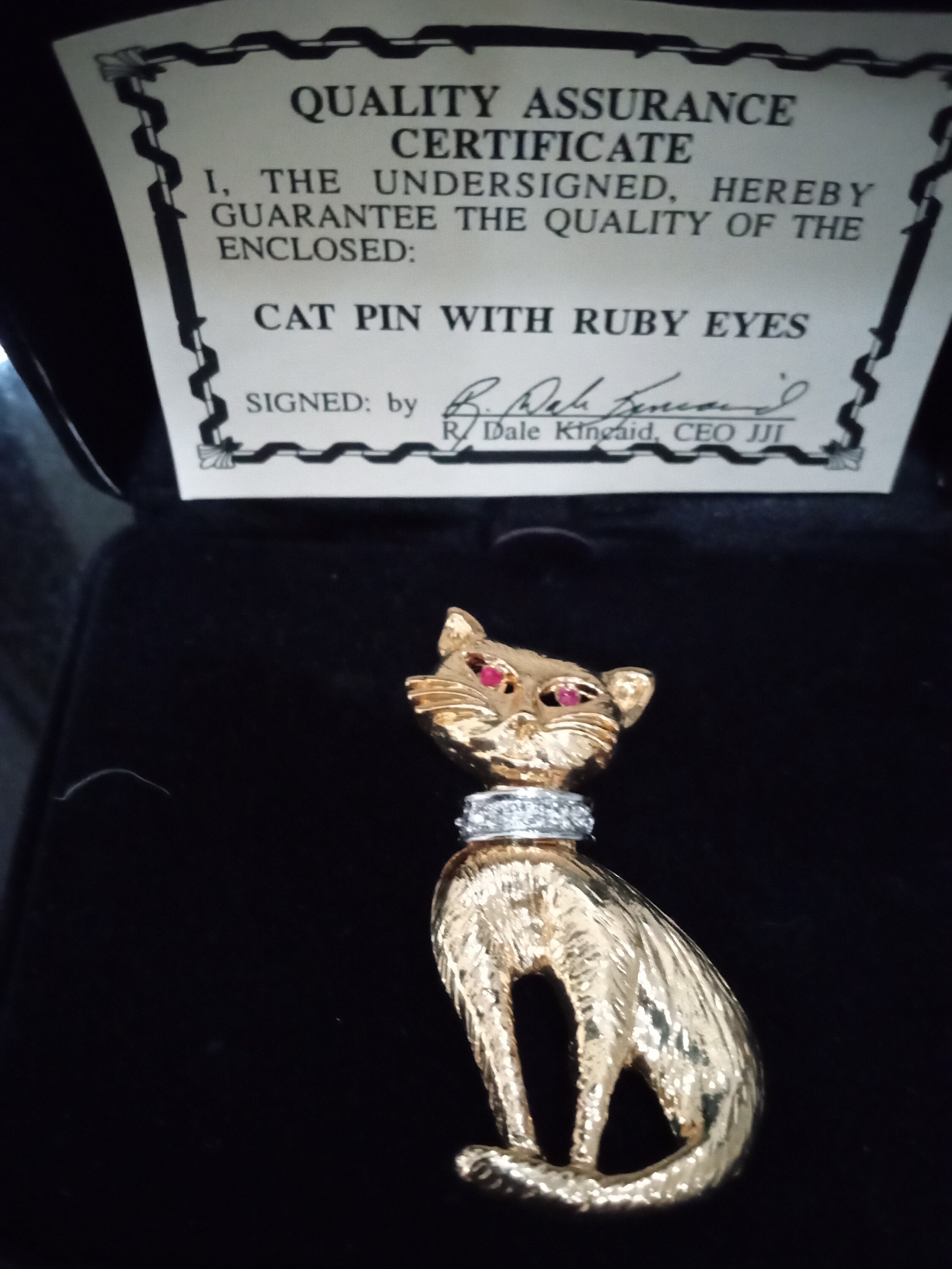 Vintage Gold Finish Rhrinestone Cat Pin Brooch With Ruby Eyes - Etsy