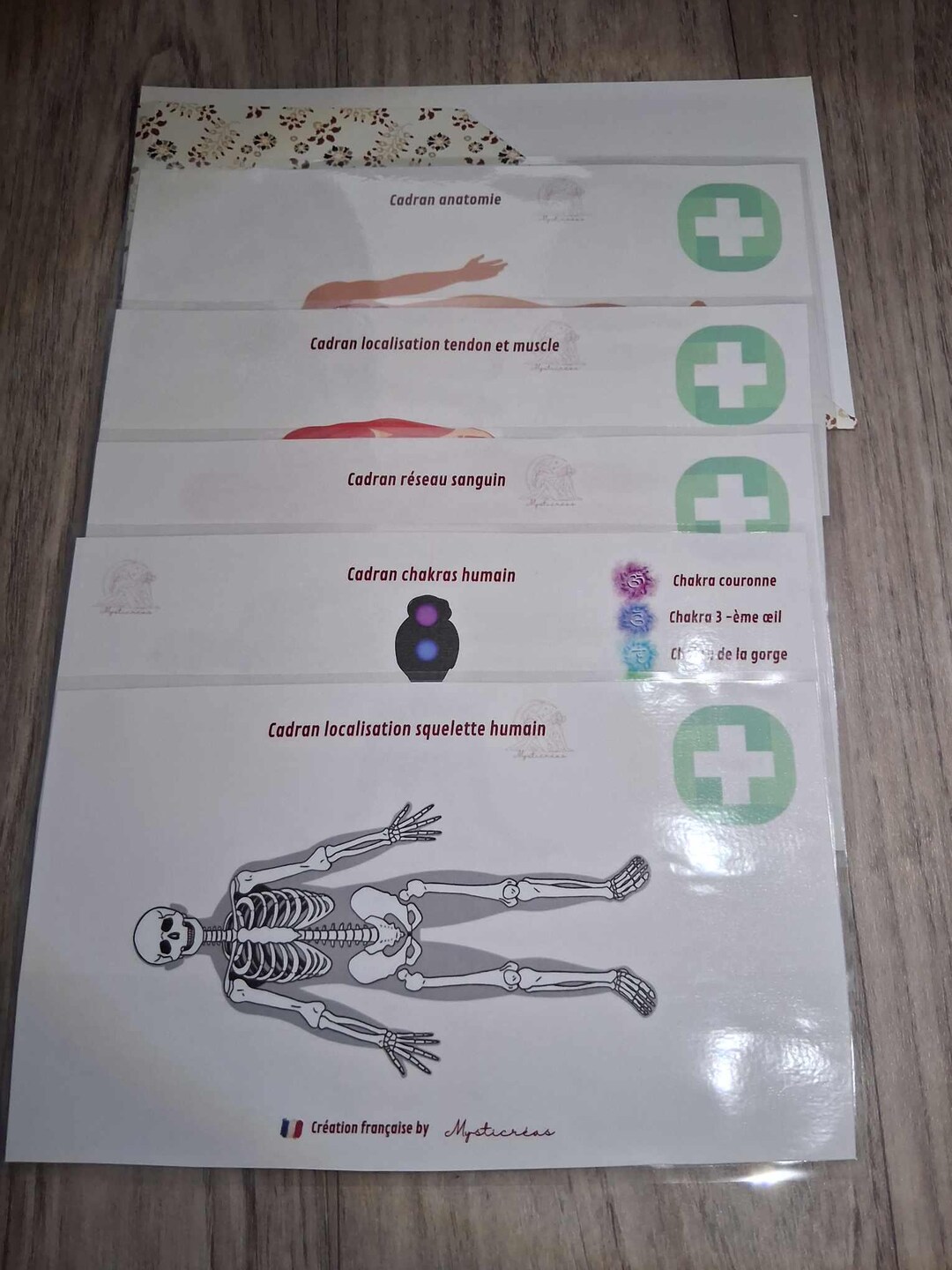 Human Skeleton Anatomy Dial Plasticized for Pendulum Divination Dowsing ...