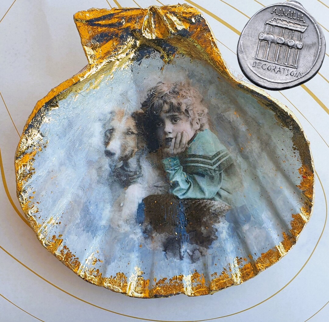 Natural Scallop Shell Trinket Dish Decorated Shell Coastal - Etsy