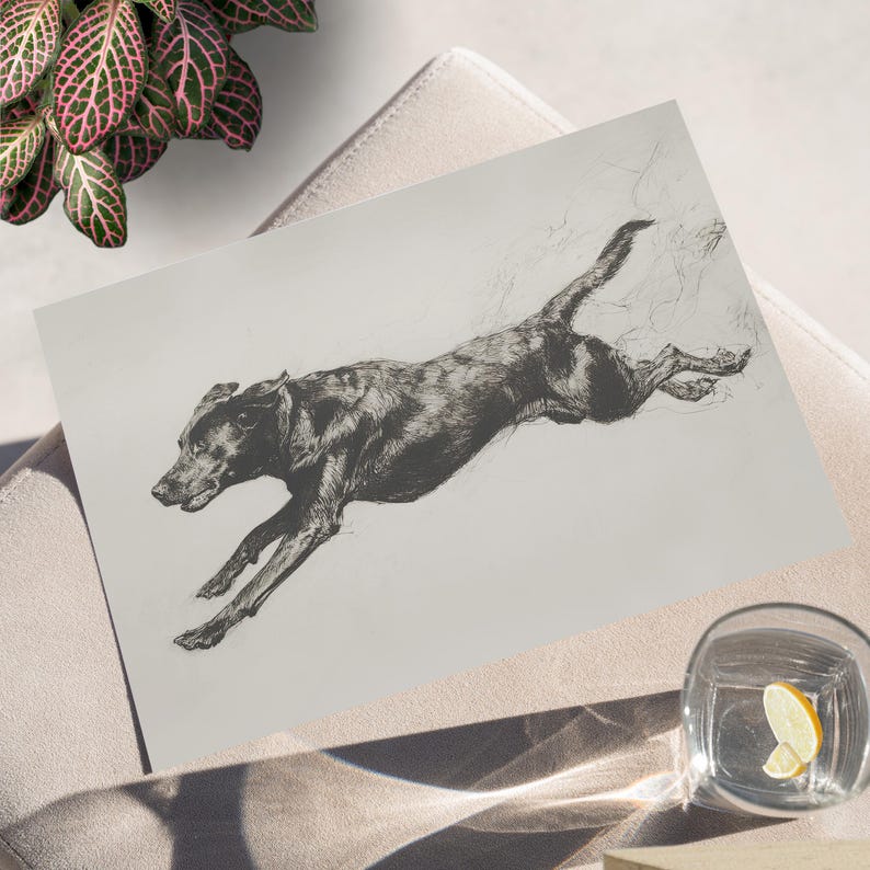 Labrador Retriever Zoomies Monochrome Wall Art Poster or Canvas Print ...