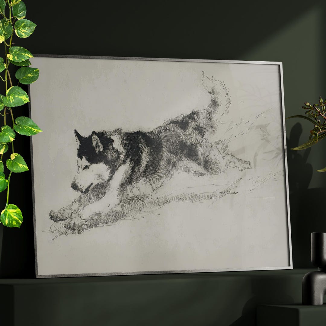 Husky Dog Zoomies Sketch Art Poster or Canvas Print, Minimalist ...