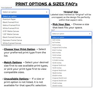 Mix N Match Set Safari Animal Nursery Art Print or Canvas, Baby Room ...