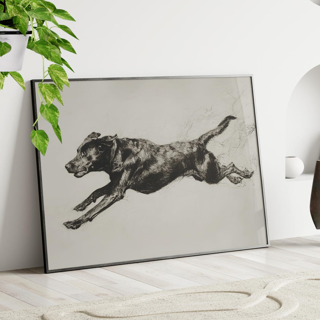 Labrador Retriever Zoomies Monochrome Wall Art Poster or Canvas Print ...