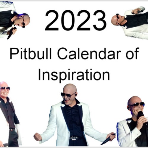 Pitbull Singer/rapper Inspirational Quote Meme Mug - Etsy