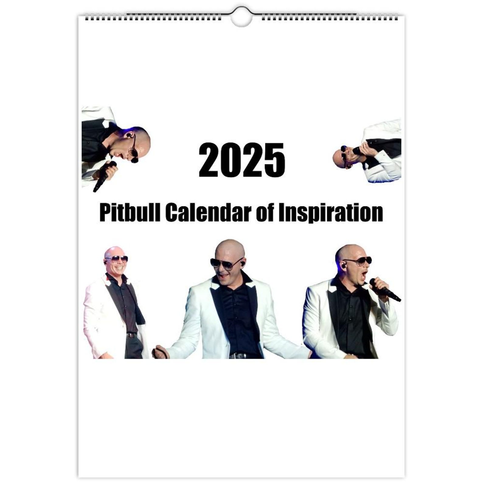 Pitbull Singer Inspirational Meme Calendar 2025 - Delivers Worldwide ...
