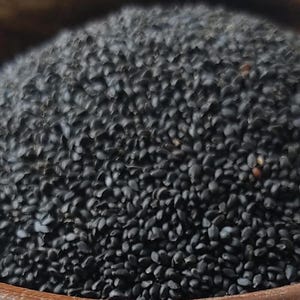 100% Organic Babchi Seeds: Hakuchi, Bavachi - Etsy