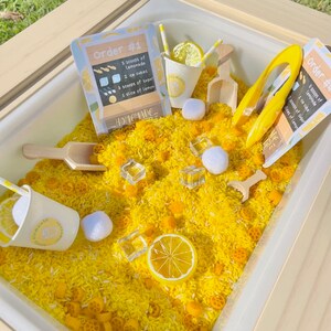 Lemonade Stand Recipe Cards, Activity Cards, Lemonade Sensory Play - Etsy