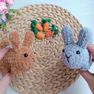No Sew Crochet Easter Bunny Plush Pattern With Crochet Carrots Mini ...