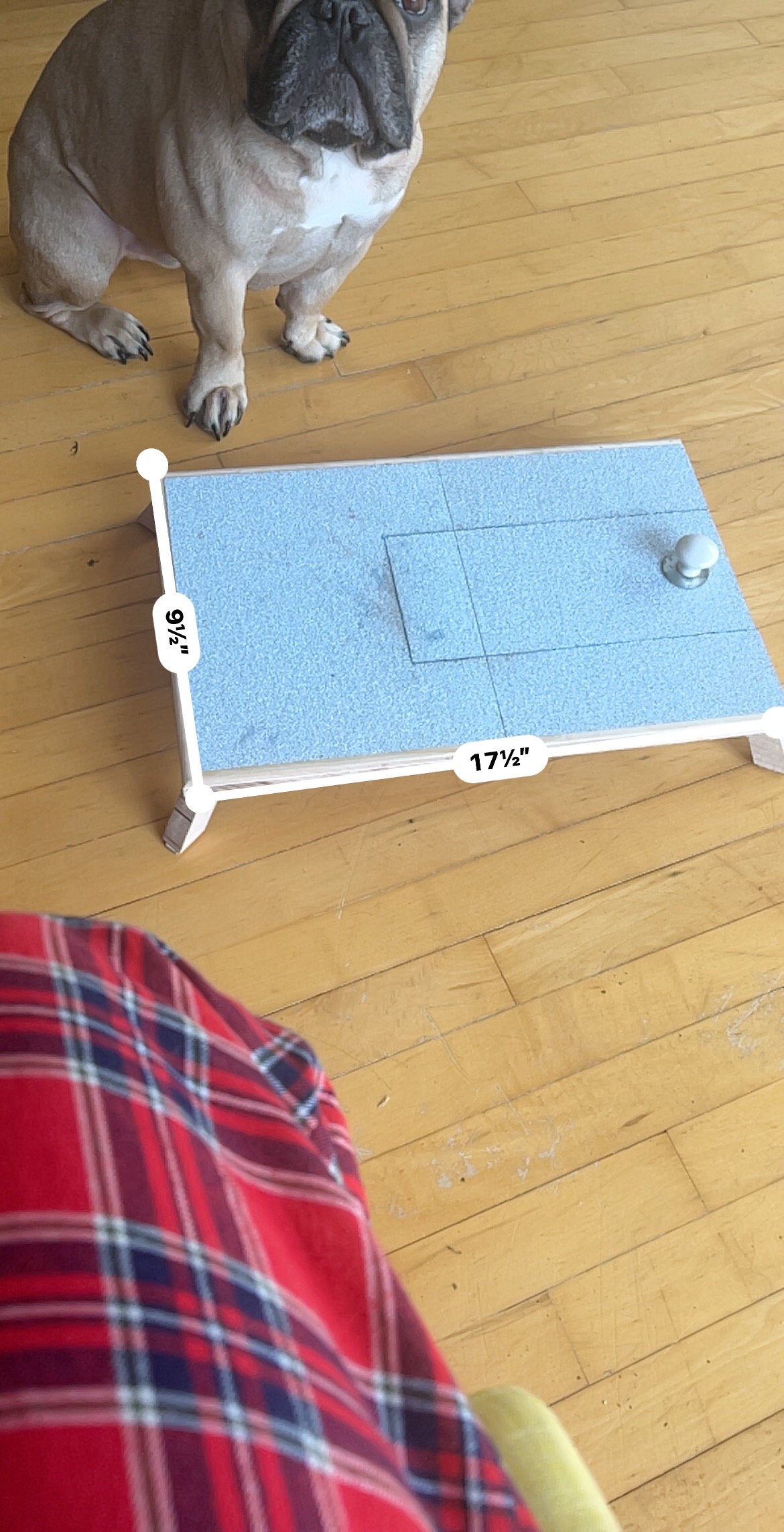 Dog Nail Abrasion Board - Etsy